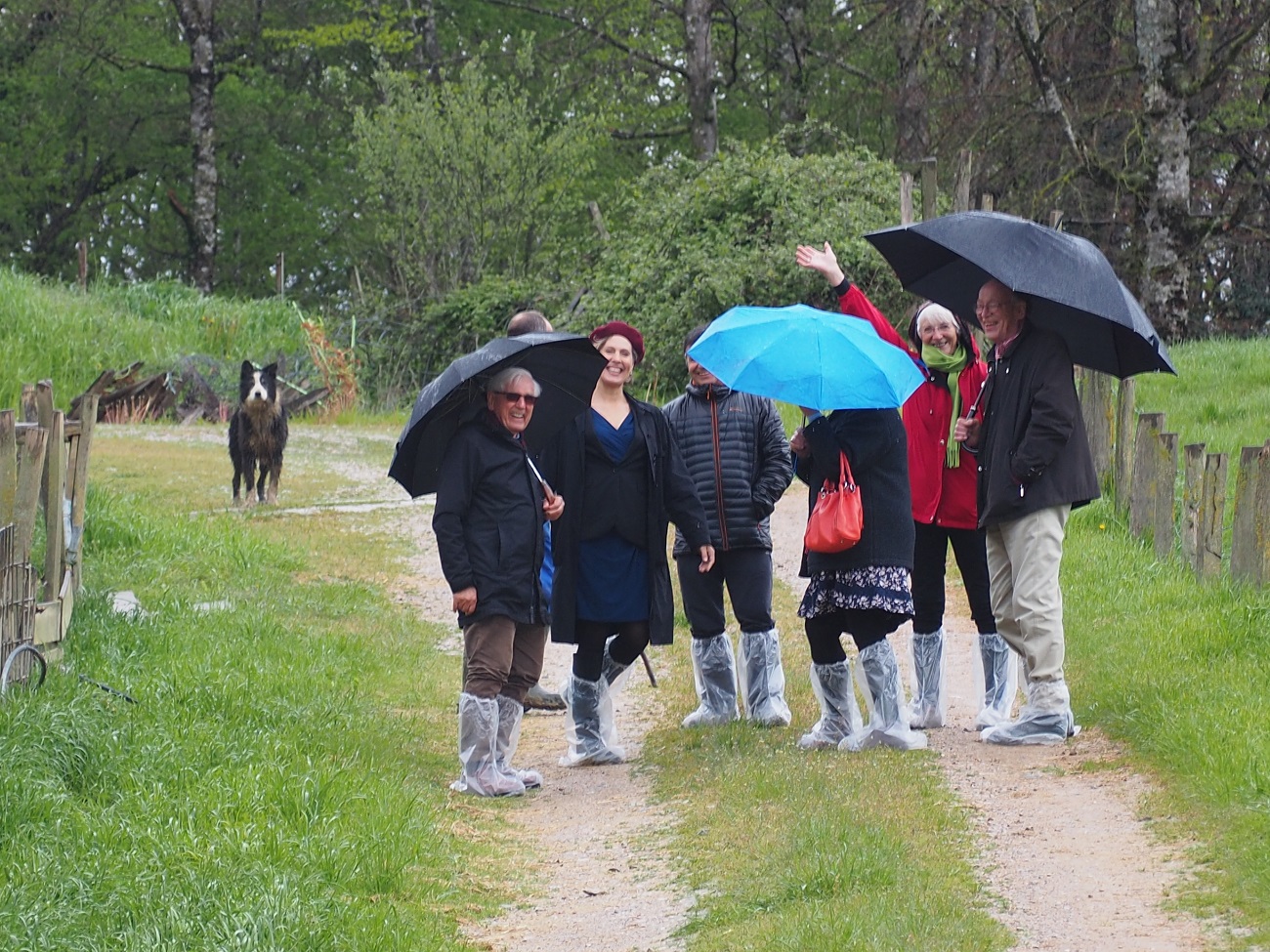 Discover the Basque Iberian Ham: Spain’s Hidden Culinary Gem - Northern ...
